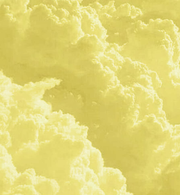 TRENDBOOK Forecasting the Future of Design